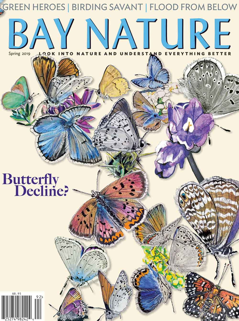 BAY NATURE MAGAZINE | For Photographers Only